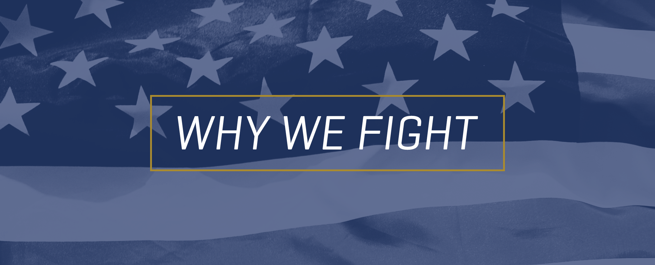 Why We Fight